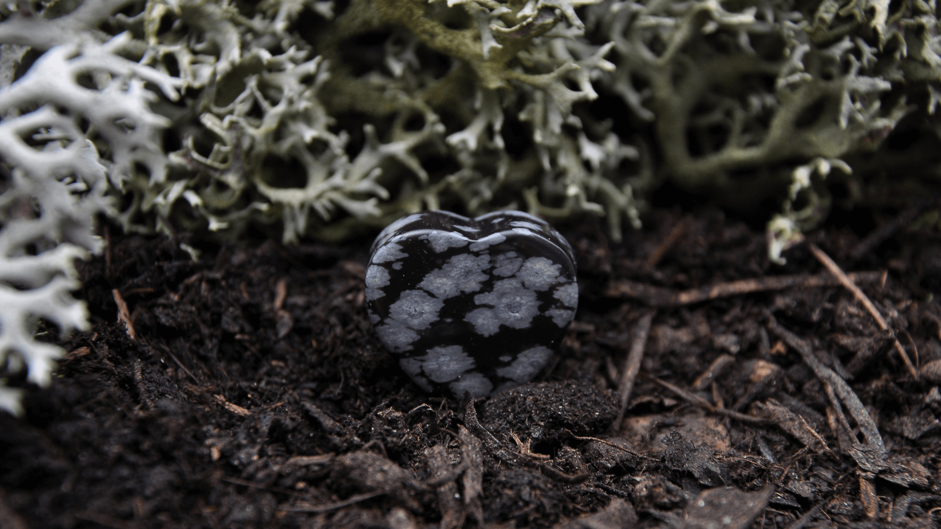 Discovering the Unique Patterns of Snowflake Obsidian: Meanings and Us ...