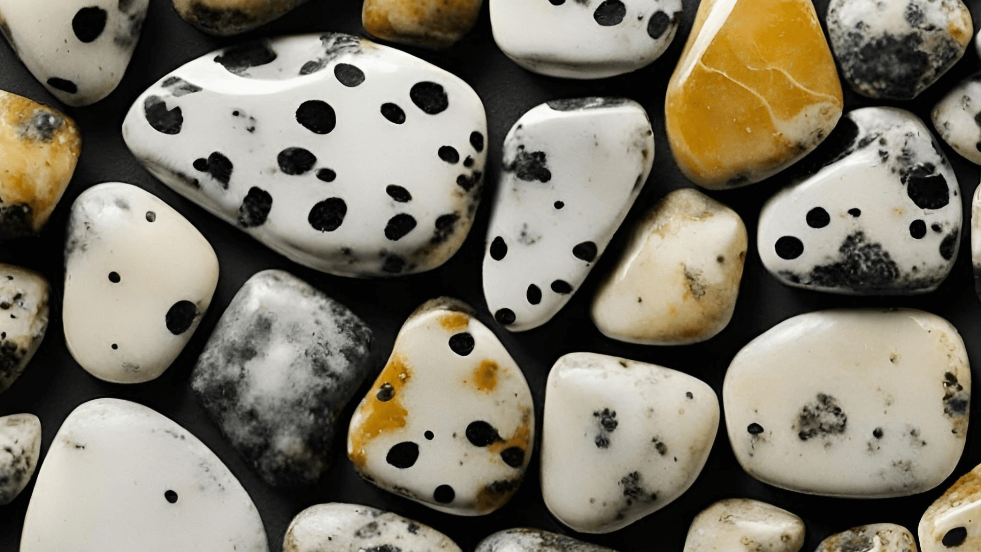 Exploring Dalmatian Jasper: Meaning, Properties, and Unique Benefits ...