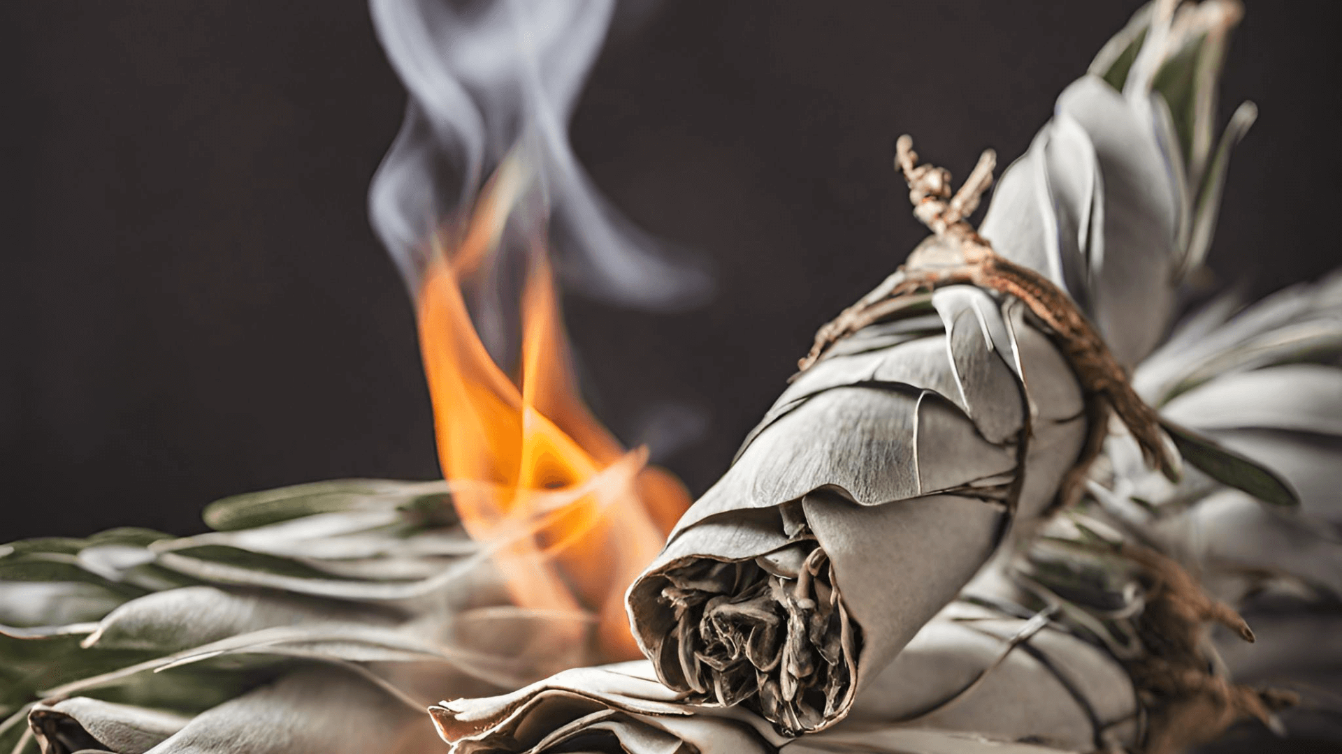 Cleansing Energies: Exploring the Spiritual Significance of Native Whi ...