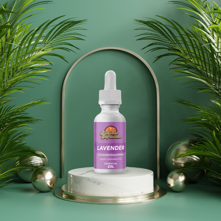 Ancient Infusions: Explore Holistic Wellness Essentials